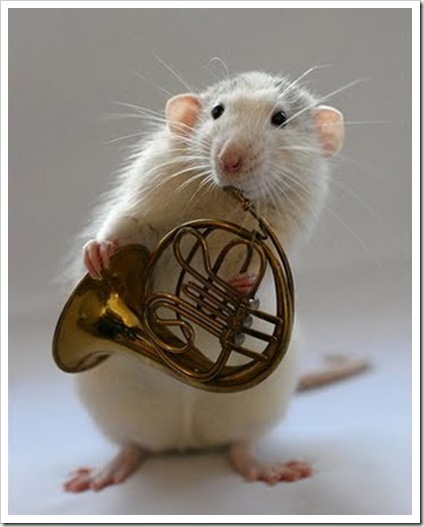 Weird musical mouse